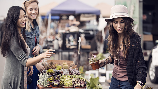 Ta emot Swishbetalning utan kortläsare eller kassasystem | Nordea